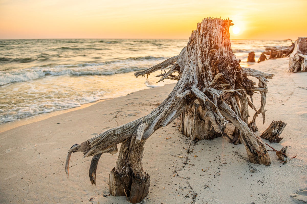 Indian Pass Cape San Blas Vacation Rentals | The Forgotten Coast | 360 Blue