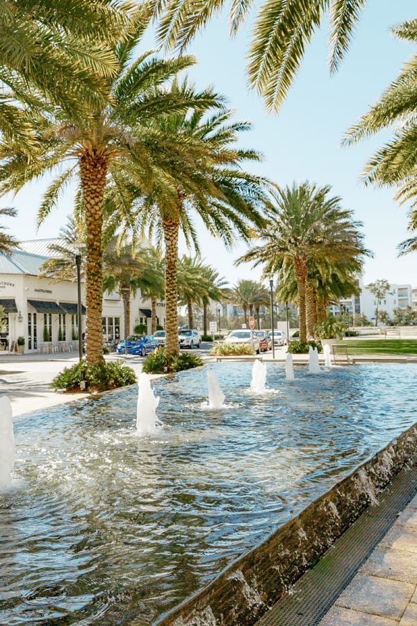 Inlet Beach | 30A | 360 Blue