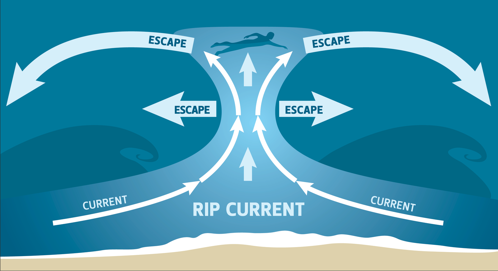 Beach Safety and Regulations
