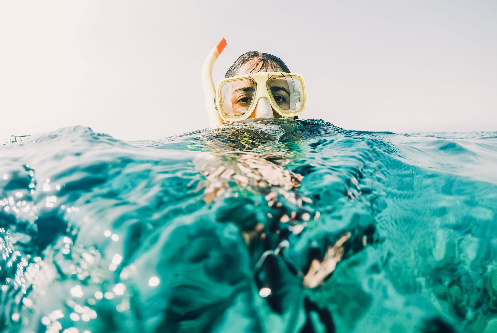 Beneath the Waves: Discovering Grayton's Underwater Museum of Art