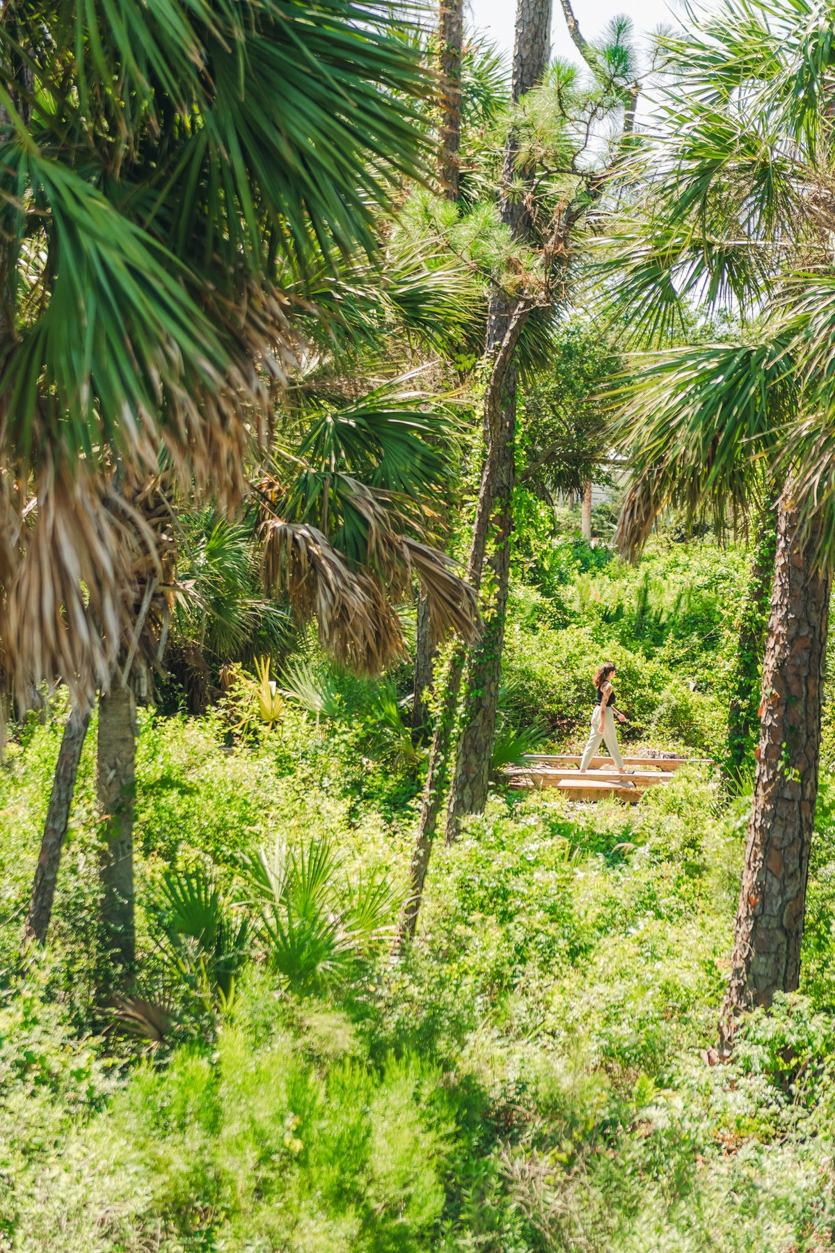 Indian Pass Cape San Blas Vacation Rentals | The Forgotten Coast | 360 Blue